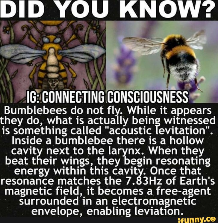 Larynx memes. Best Collection of funny Larynx pictures on iFunny