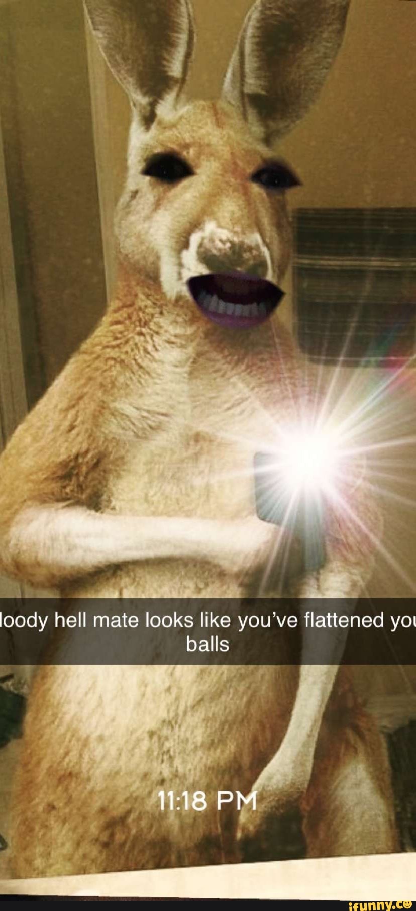 Loody hell mate looks like you've flattened yo! balls PM - iFunny