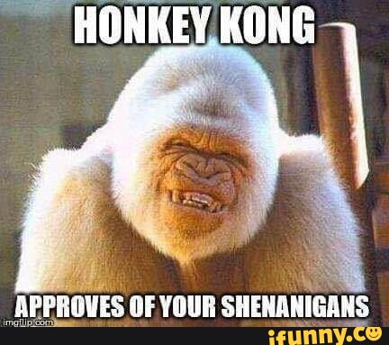 HONKEY KONG I APPROVES OF YOUR SHENANIGANS - iFunny
