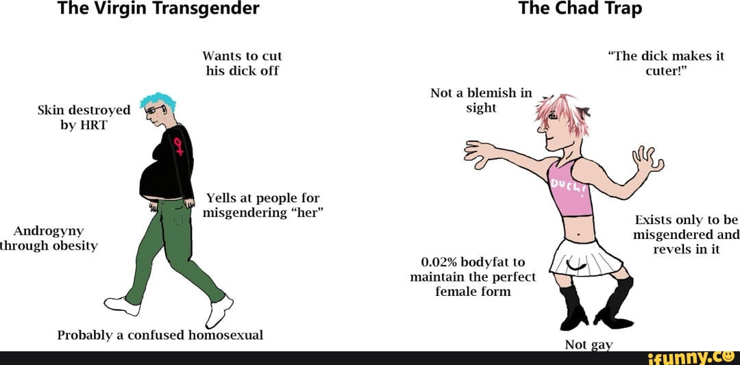 Androgyny memes. Best Collection of funny Androgyny pictures on iFunny
