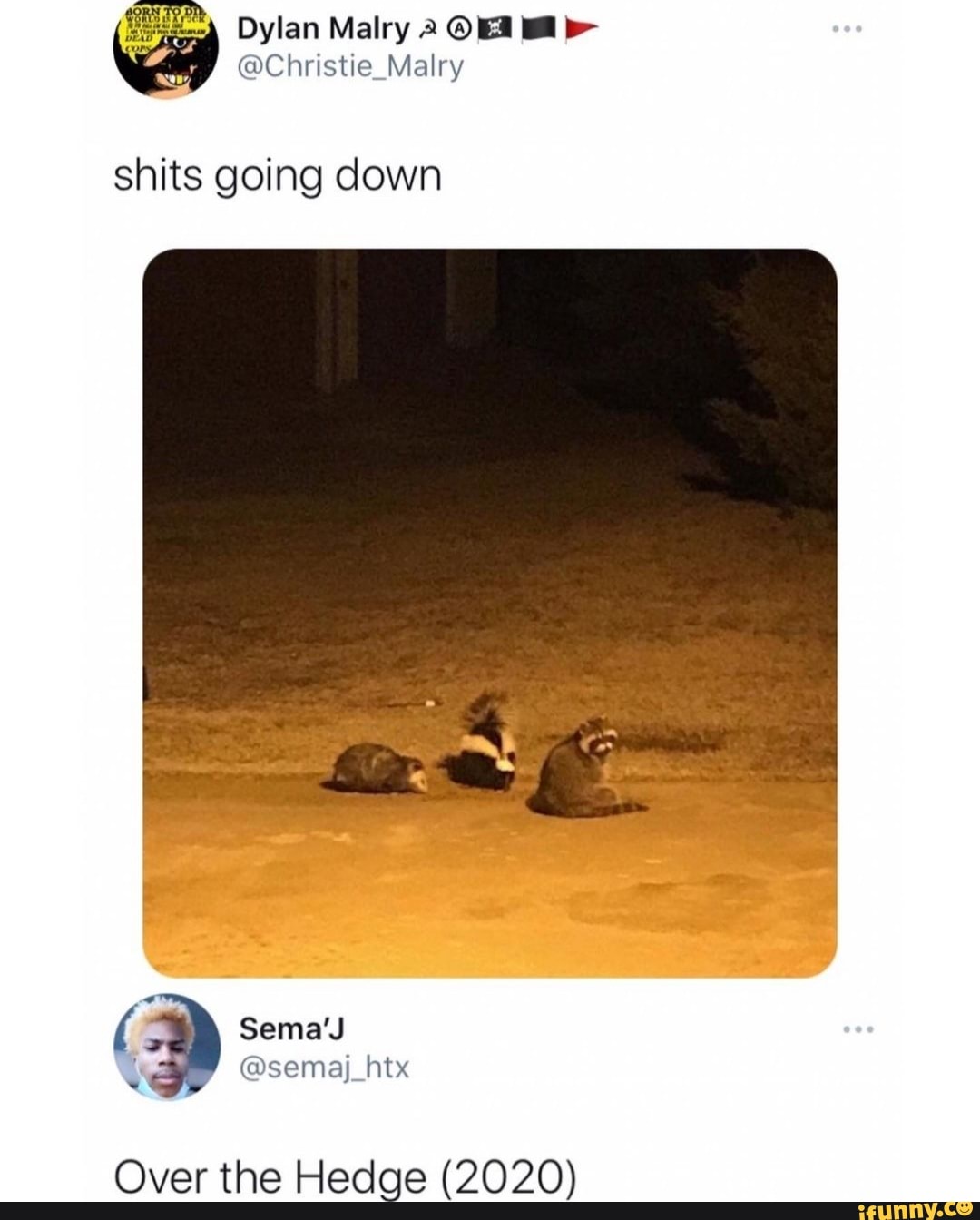 Shits going down Sema'J @semaj_htx Over the Hedge (2020) - iFunny