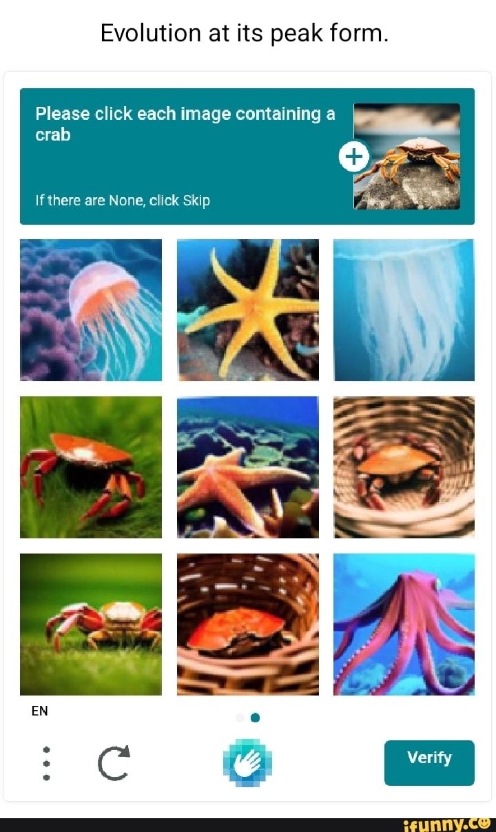 Evolution at its peak form. Please click each image containing a crab ...