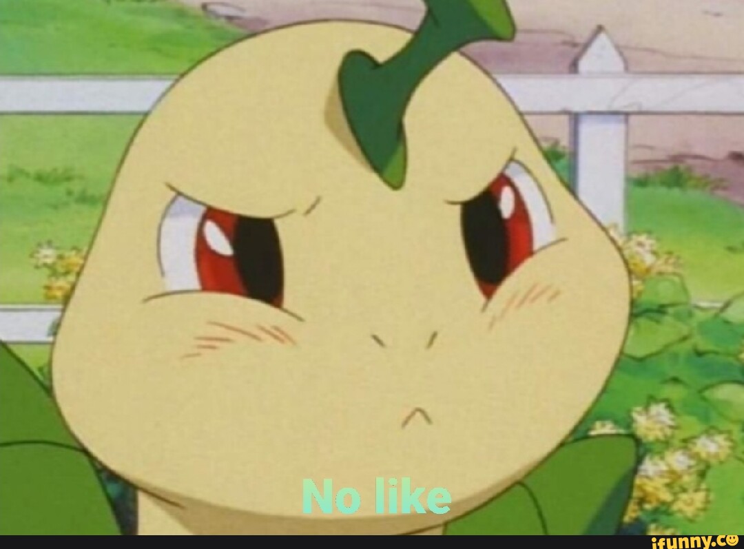 Bayleaf memes. Best Collection of funny Bayleaf pictures on iFunny