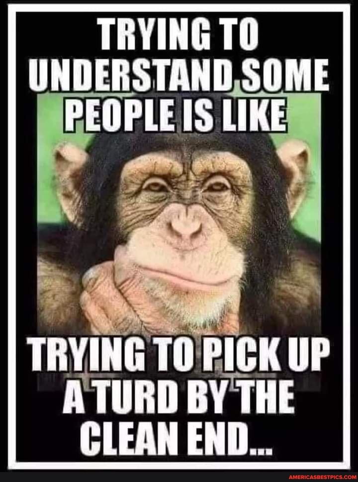 TRYING TO SOME SOME PEOPLE IS LIKE TEVING 10 PICK UP A TURD BY THE ...
