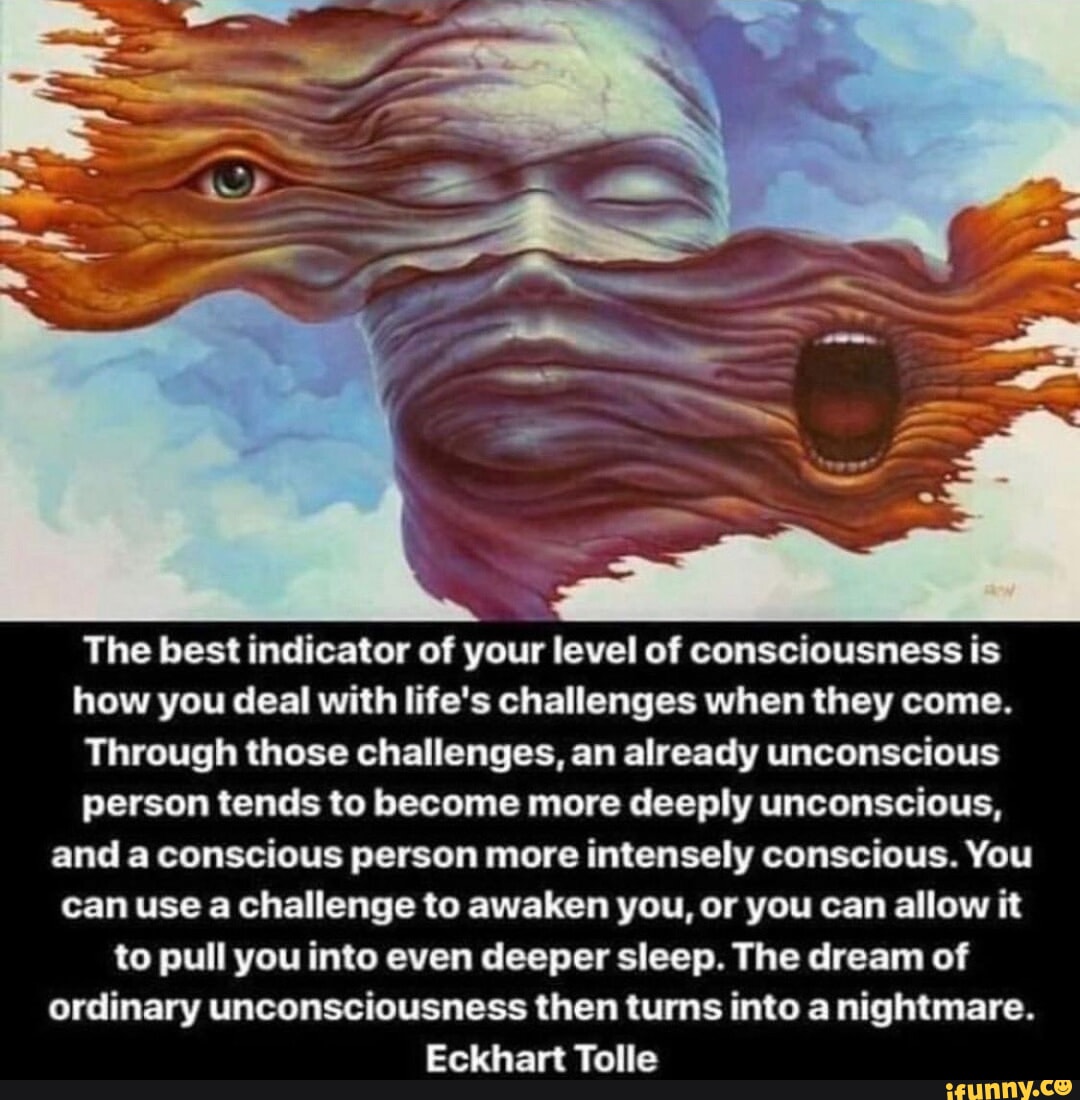 The best indicator of your level of consciousness is how you deal with ...