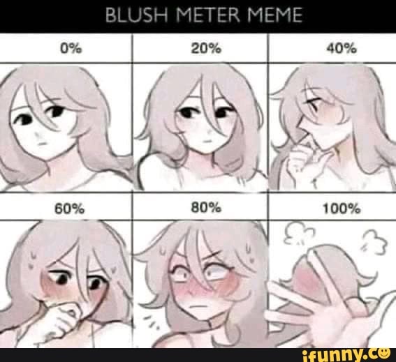 BLUSH METER MEME LAY IFunny