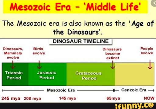 Mesozoic Era - 'Middle Life' The Mesozoic era is also known as the 'Age of the Dinosaurs ...