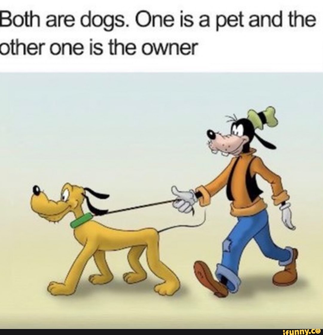 Dogswalktogether memes. Best Collection of funny Dogswalktogether ...