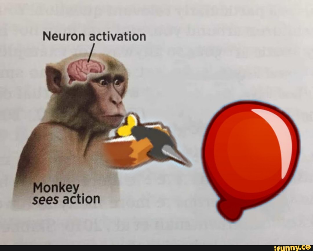 Monke funny - Neuron activation Monkey \ sees action > - iFunny