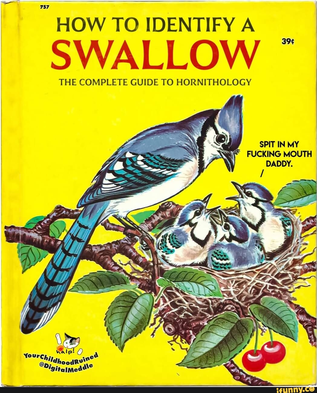 757 HOW TO IDENTIFY A SWALLOW THE COMPLETE GUIDE TO HORNITHOLOGY SPIT ...
