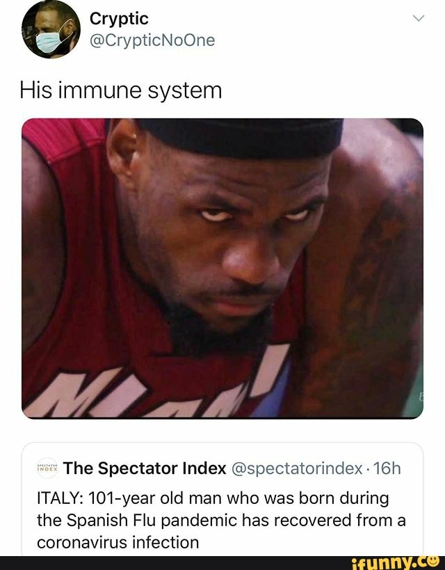 Spectator Internet Memes