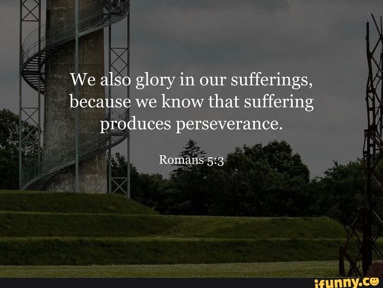 Perseverance memes. Best Collection of funny Perseverance pictures on ...