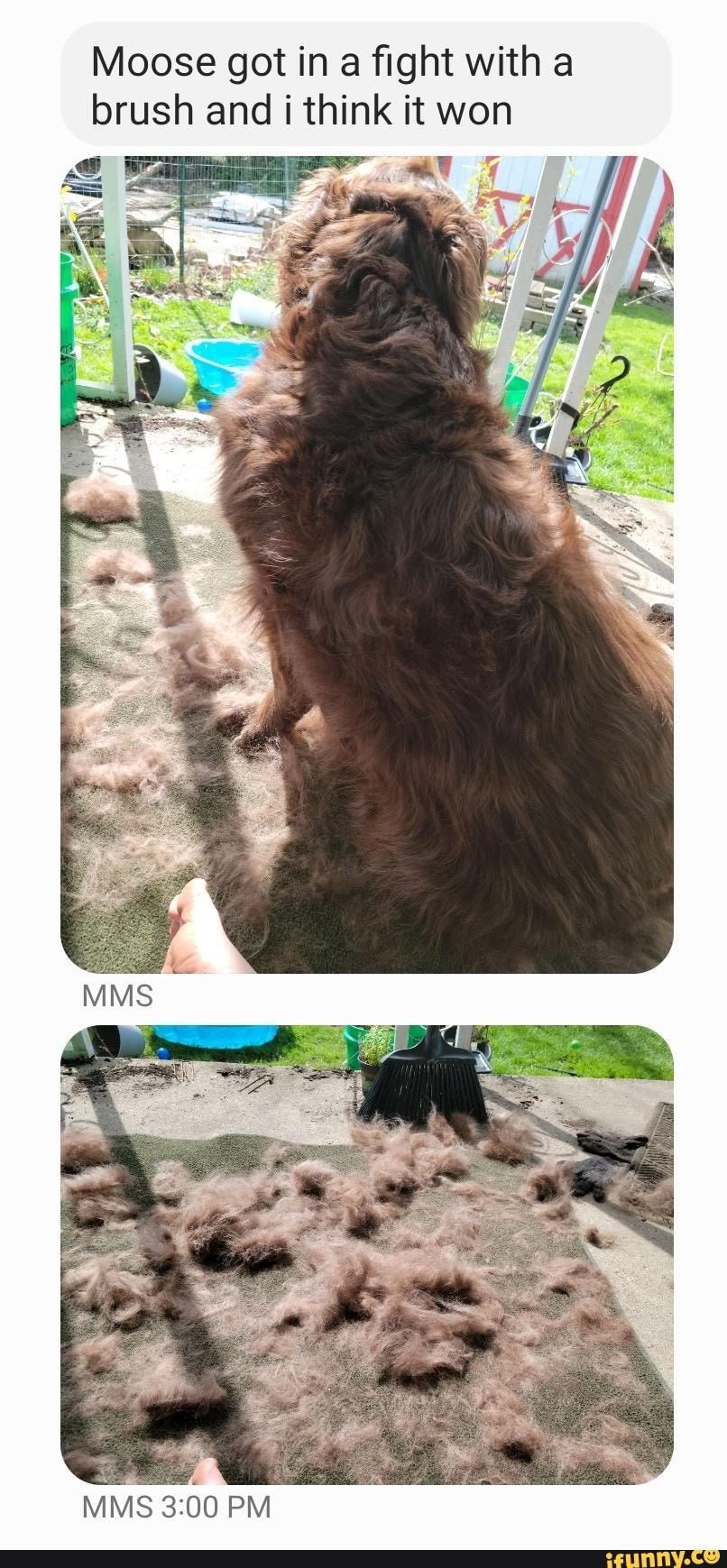 Governator memes. Best Collection of funny Governator pictures on iFunny