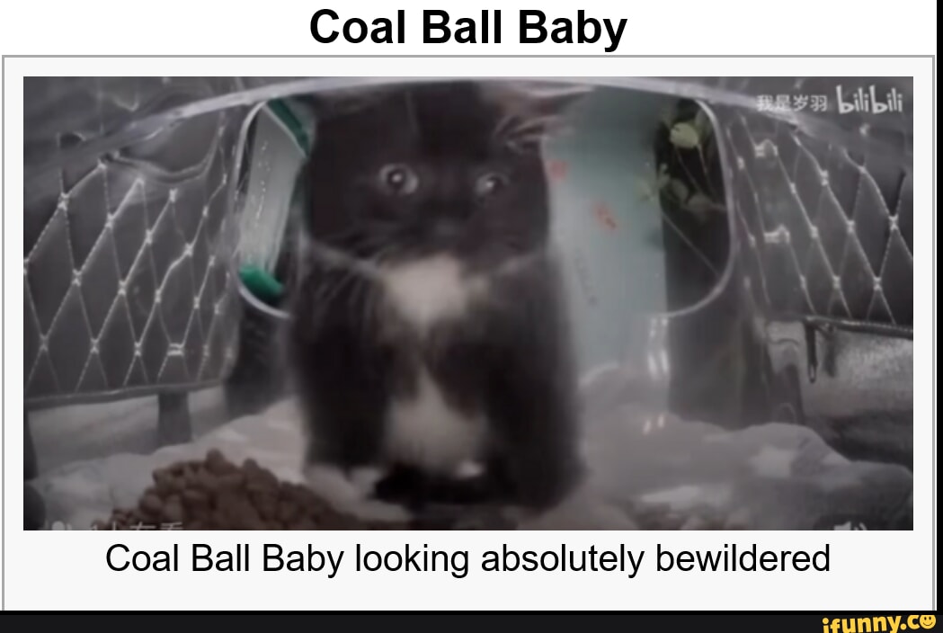 Coal Ball Baby SS Coal Ball Baby looking absolutely bewildered - iFunny