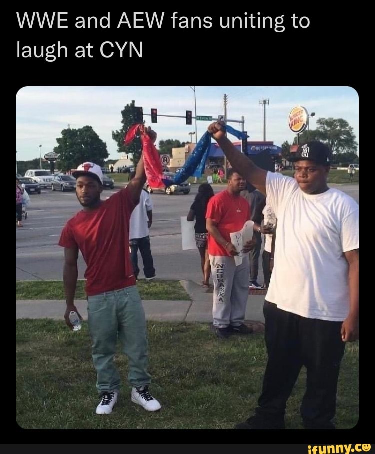 WWE and AEW fans uniting to laugh at CYN - iFunny