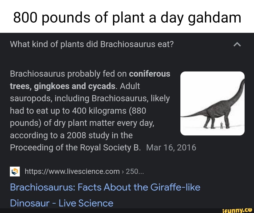 Brachiosaurus memes. Best Collection of funny Brachiosaurus pictures on ...