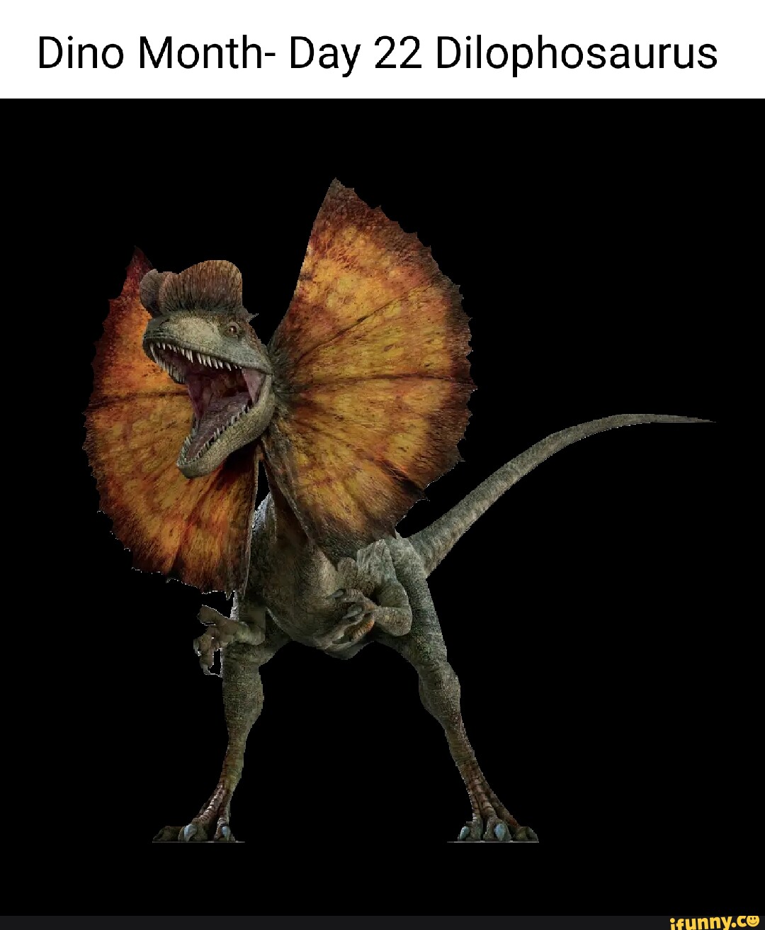 Dino Month- Day 22 Dilophosaurus - iFunny
