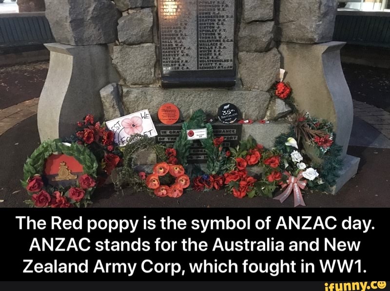 The Red poppy is the symbol of ANZAC day. ANZAC stands for the ...