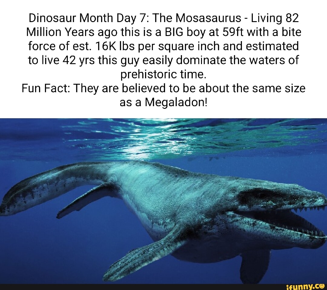 Dinosaur Month Day 7: The Mosasaurus - Living 82 Million Years ago this ...