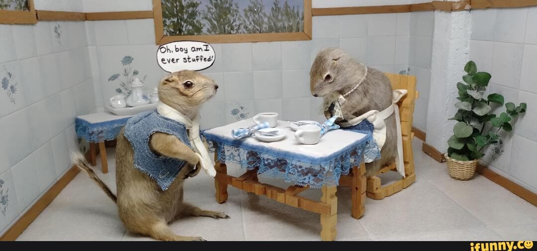 Dioramas memes. Best Collection of funny Dioramas pictures on iFunny