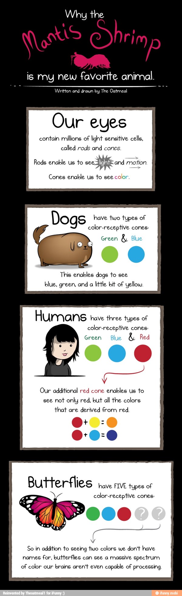 Is My New Favorite Animal Our Eyes Contain Millions Of Light Sensitive is-my-new-favorite-animal-our-eyes-contain-millions-of-light-sensitive