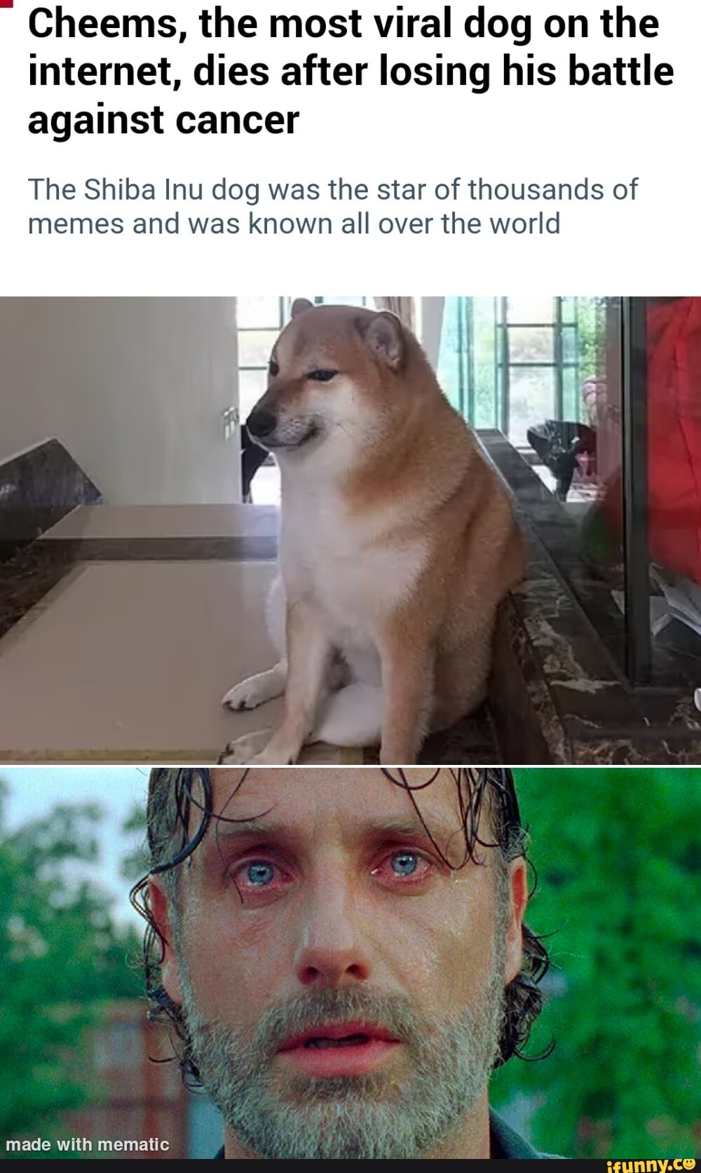 Cheems, the most viral dog on the internet, dies after losing his ...