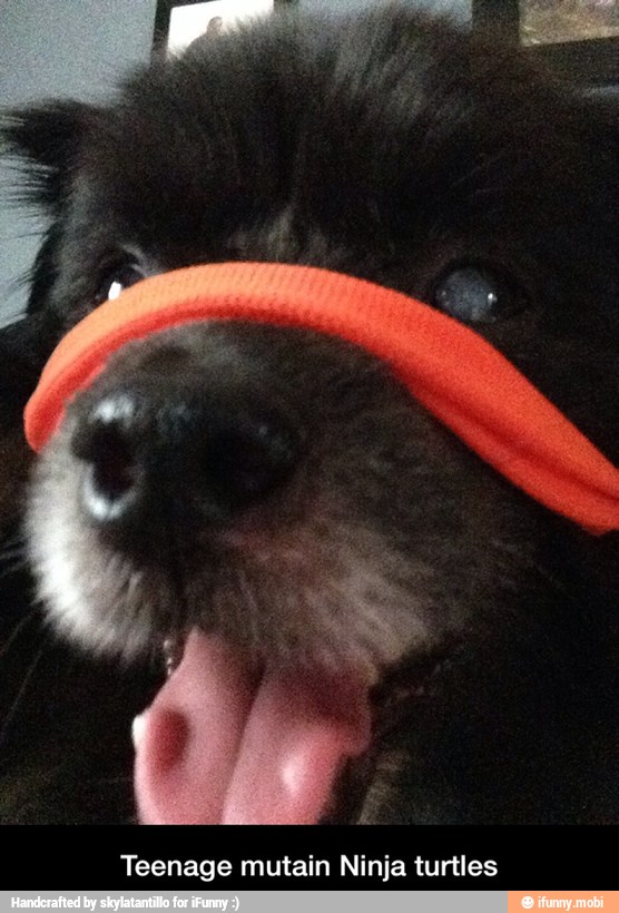 Mutain memes. Best Collection of funny Mutain pictures on iFunny