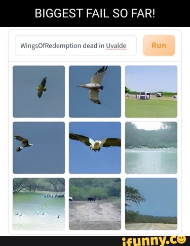 BIGGEST FAIL SO FAR! WingsOfRedemption dead in Uvalde Run - iFunny