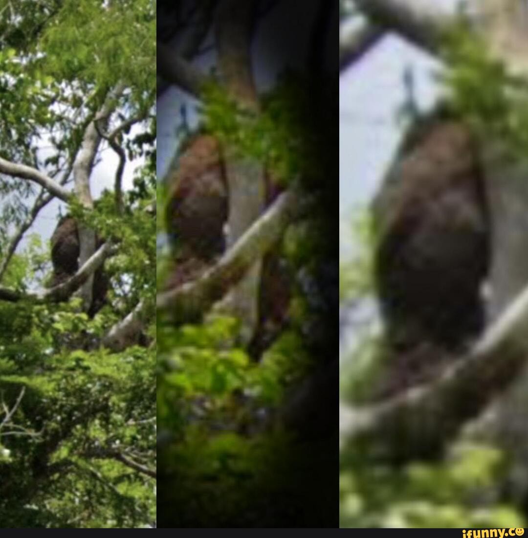 Google_earth memes. Best Collection of funny Google_earth pictures on ...