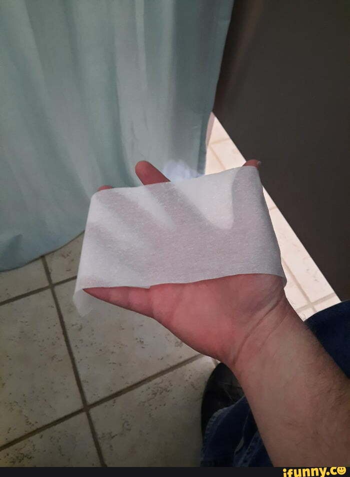 Cobweb memes. Best Collection of funny Cobweb pictures on iFunny