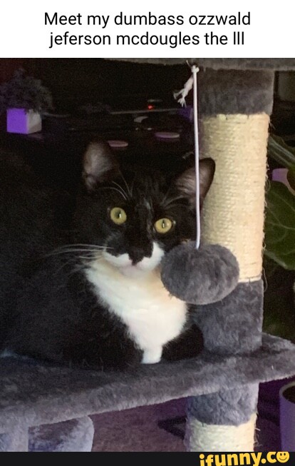 Sobbles will hold on to anything you give them and the emotional burden ...