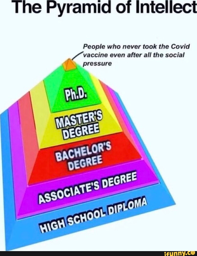 The Pyramid of Intellect People who never took the Covid vaccine even ...