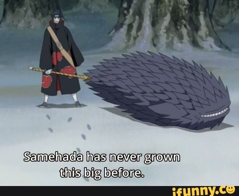 Samehada memes. Best Collection of funny Samehada pictures on iFunny