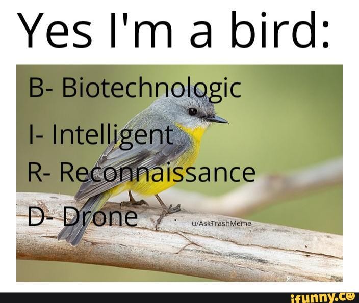 611 memes. Best Collection of funny 611 pictures on iFunny