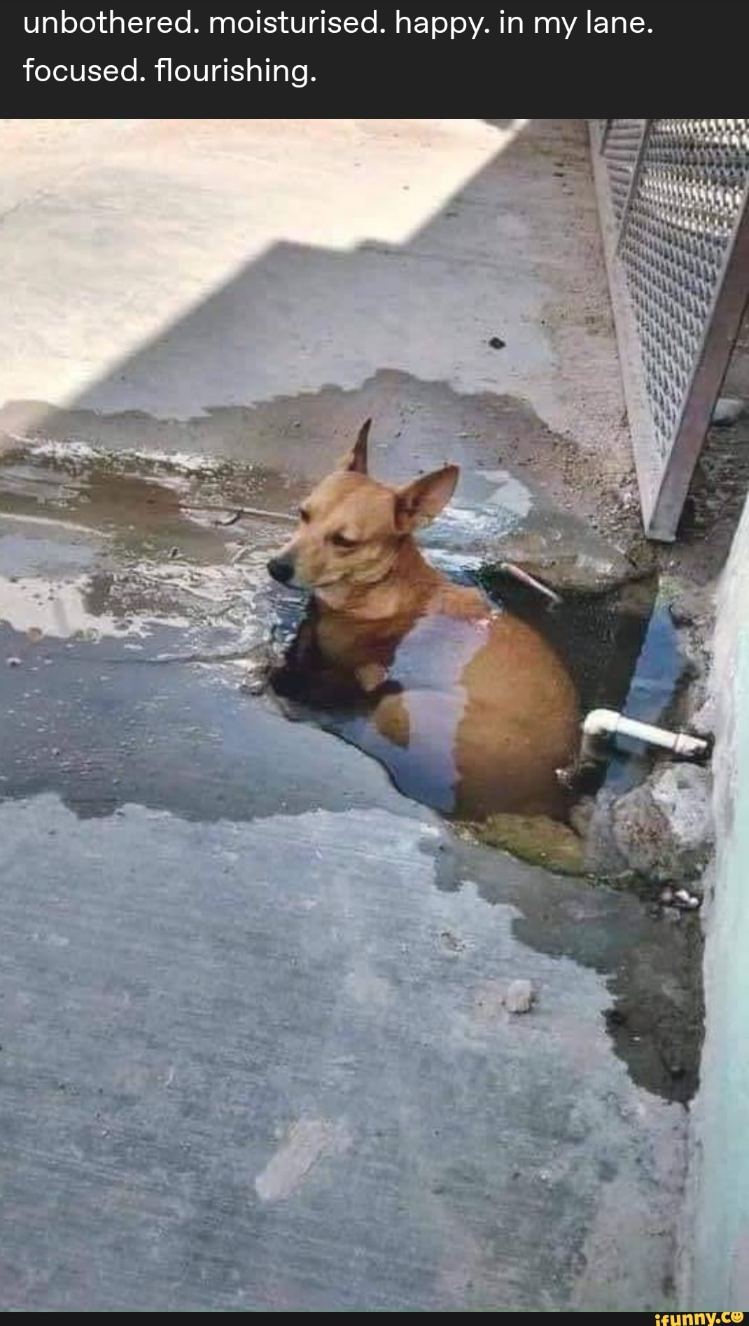 Moisturised memes. Best Collection of funny Moisturised pictures on iFunny