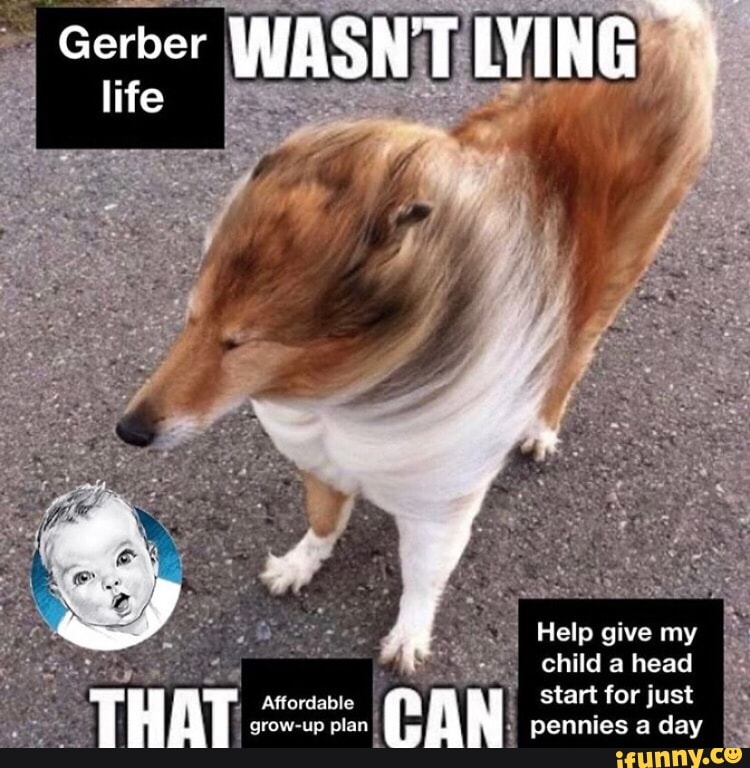 I Help give my child a head start for just pennies a day I Gerber WASN ...