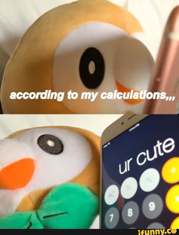 Calculations memes. Best Collection of funny Calculations pictures on ...