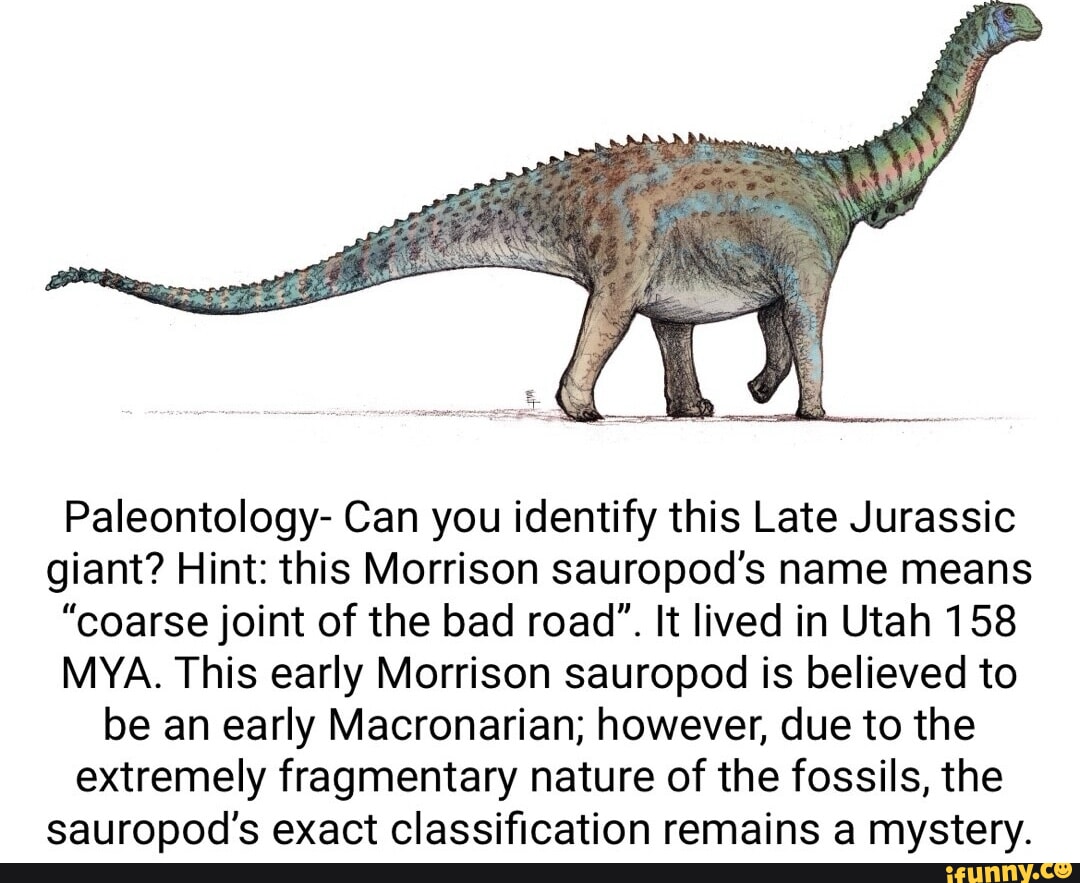 Paleontology- Can you identify this Late Jurassic giant? Hint: this ...