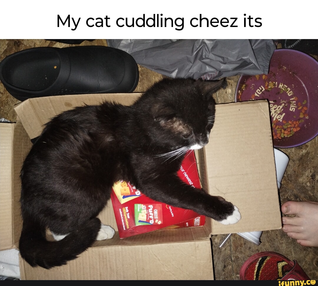 Cuddling memes. Best Collection of funny Cuddling pictures on iFunny