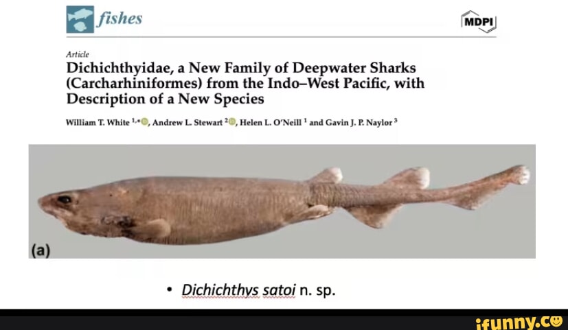 Deepwater memes. Best Collection of funny Deepwater pictures on iFunny