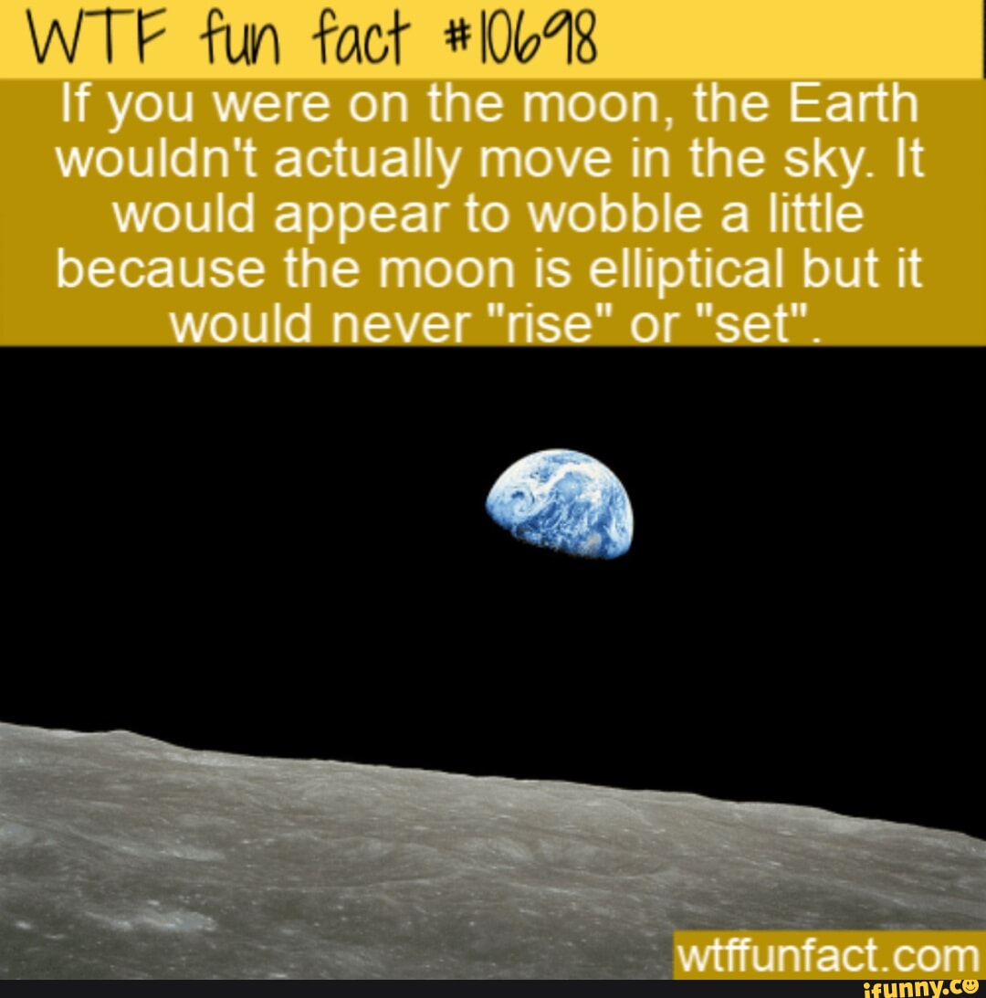 Wobble memes. Best Collection of funny Wobble pictures on iFunny