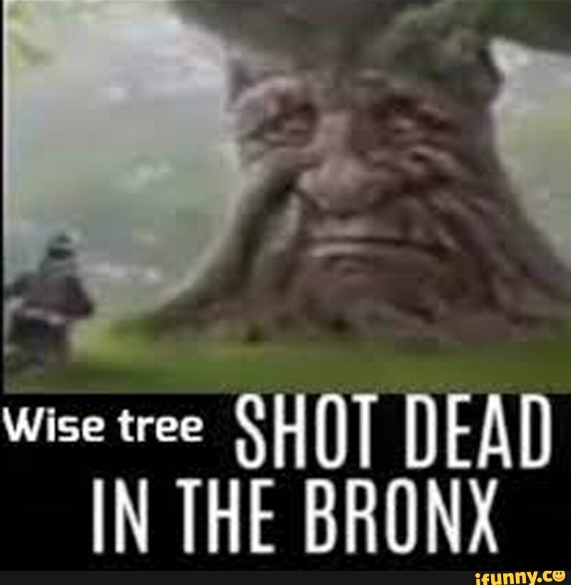 Bronx memes. Best Collection of funny Bronx pictures on iFunny