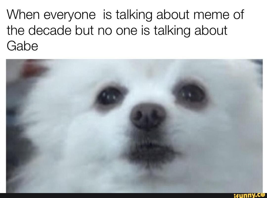 When everyone is talking about meme of the decade but no one is talking ...