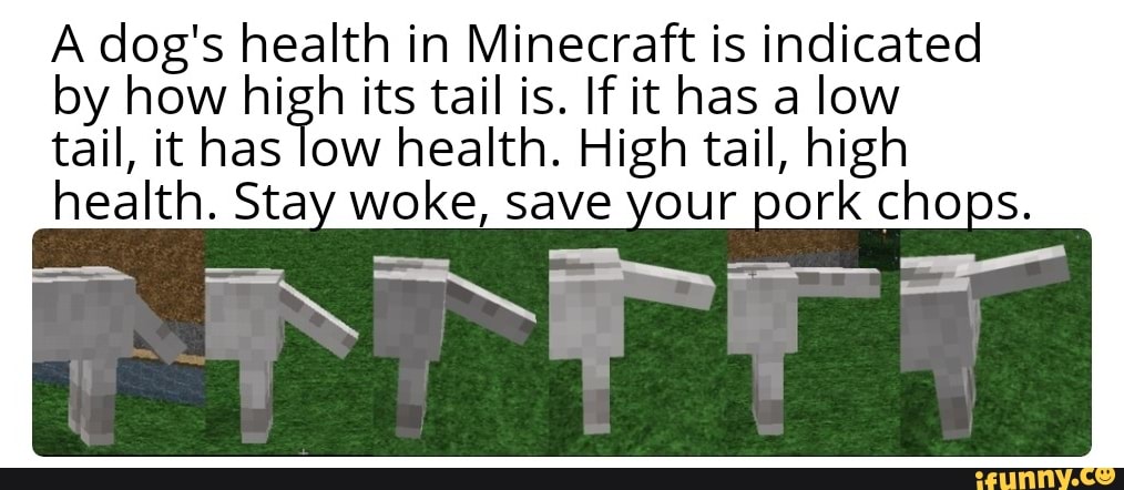 A dog's health in Minecraft is indicated by how hi h its tail is. If it ...
