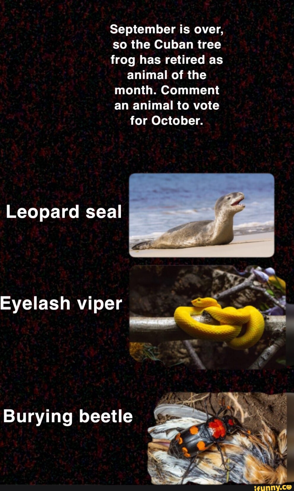 Viper memes. Best Collection of funny Viper pictures on iFunny