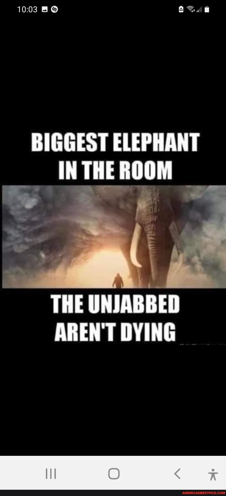 biggest-elephant-in-the-room-the-unjabbed-aren-t-dying-america-s-best