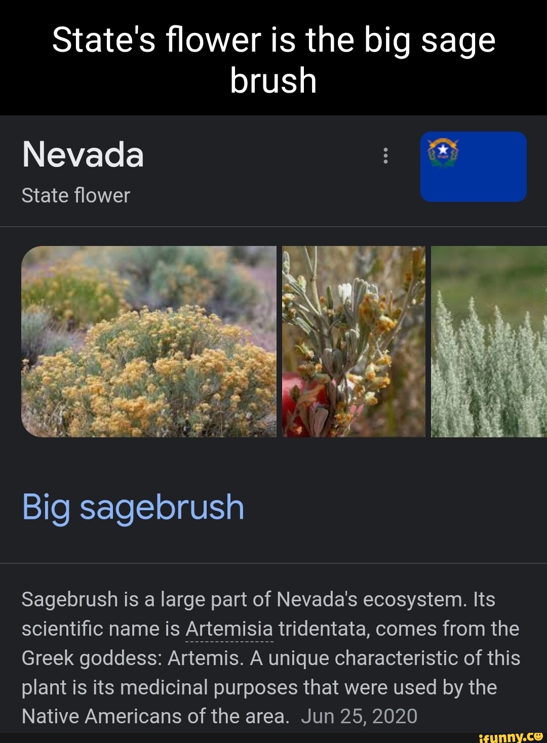 Sagebrush memes. Best Collection of funny Sagebrush pictures on iFunny