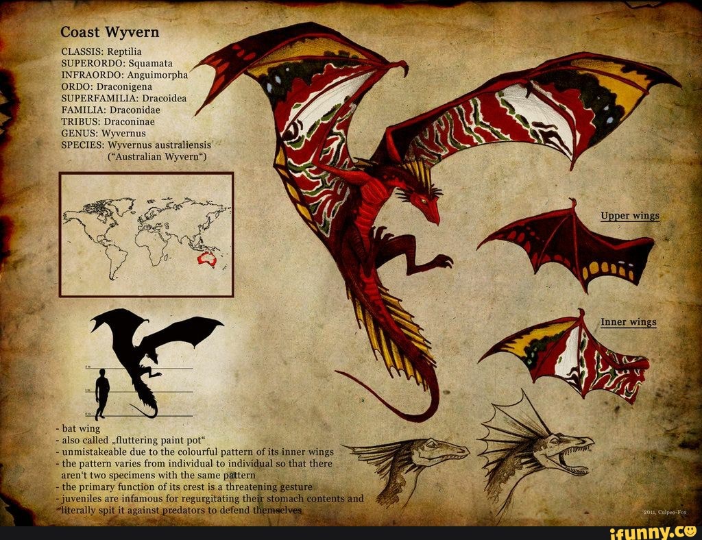 Coast Wyvern CLASSIS: Reptilia SUPERORDO: Squamata INFRAORDO ...