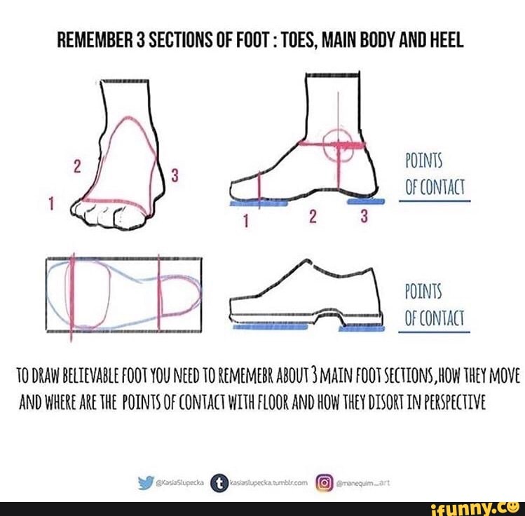 REMEMBER 3 SECTIONS OF FOOT TOES, MAIN BODY AND HEEL TO DRAW BELTEVABLE ...