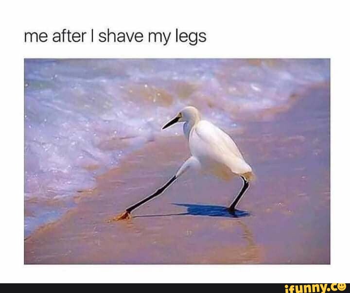 Legs memes. Best Collection of funny Legs pictures on iFunny